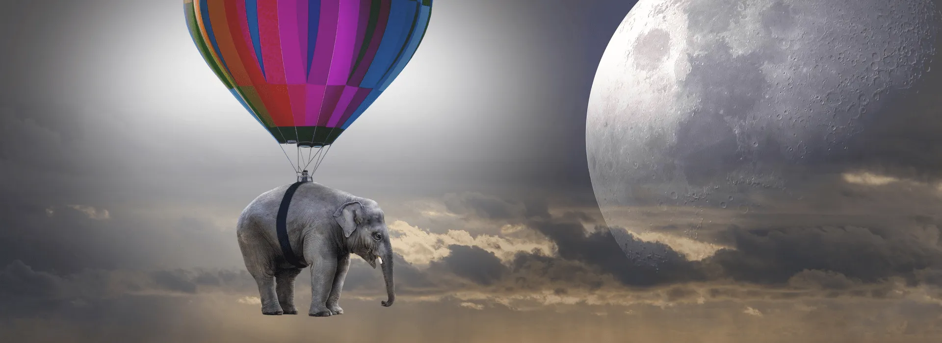 MID GmbH | Work in progress: Traumjob, ich komme